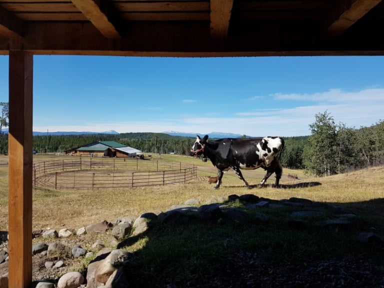 Quad Tour auf der Cougar Ranch - Abenteuer erleben!