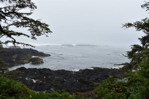 Pacific Rim Nationalpark: Ein Tag auf dem Lighthouse Loop Trail